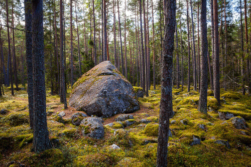 A first timer's guide to Estonia - Inspiring Vacations