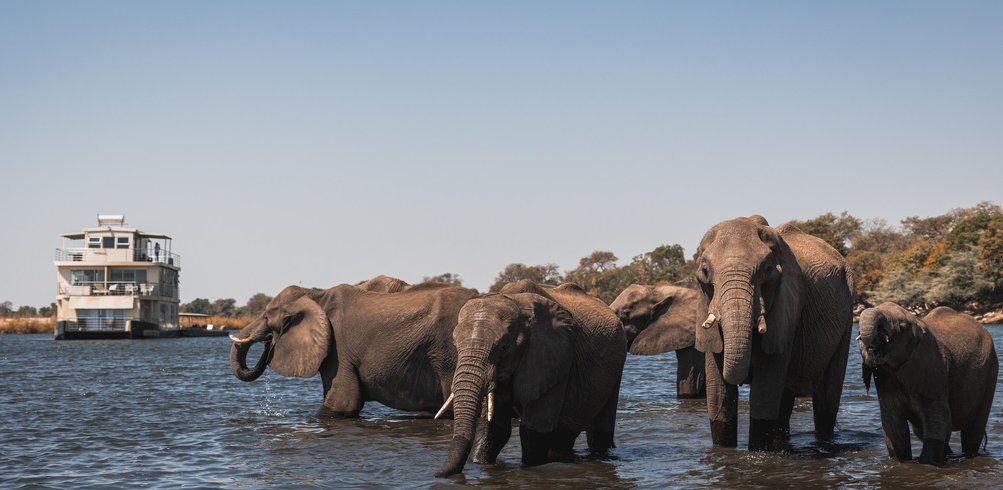 18 Day 5 Star Kruger, Rovos Rail, Victoria Falls & Chobe Princess Cruise