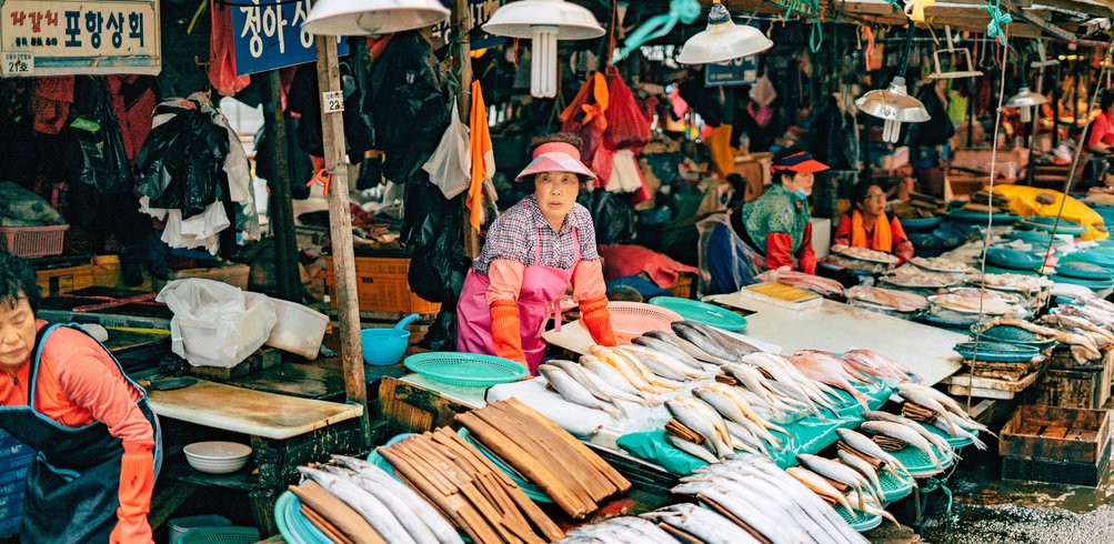 22 Day Inspiring Japan & South Korea - 2027