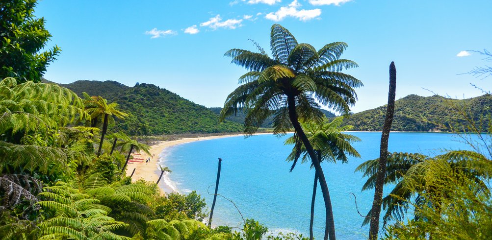 11 Day Ultimate Top Of The South Island