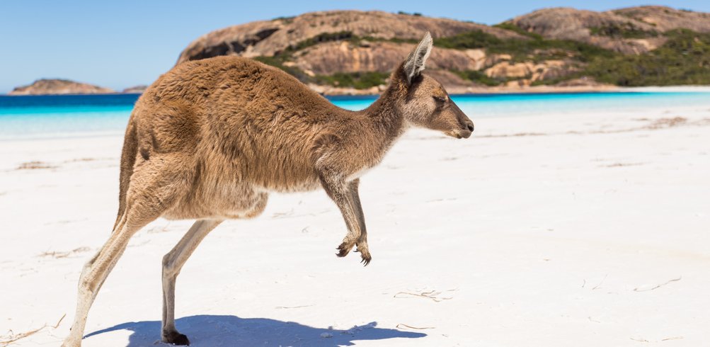 15 Day Kangaroo Island, Nullarbor & The Bight