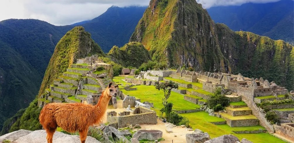 18 Day Complete Peru Small Group Tour