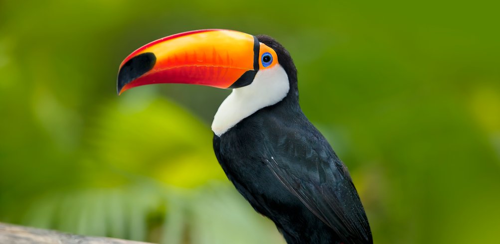 20 Day Complete Peru Small Group Tour