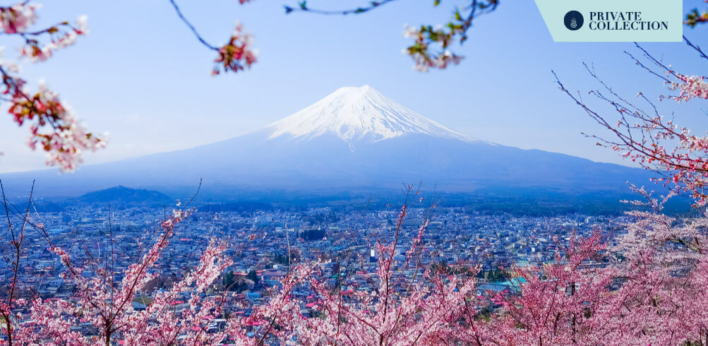 12 Day Essence Of Japan