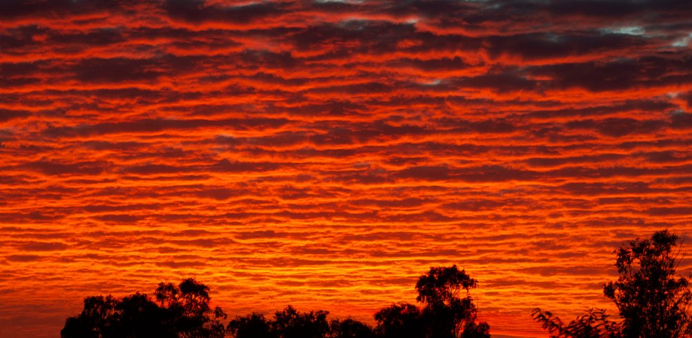 14 Day Queensland Outback & Rainforest