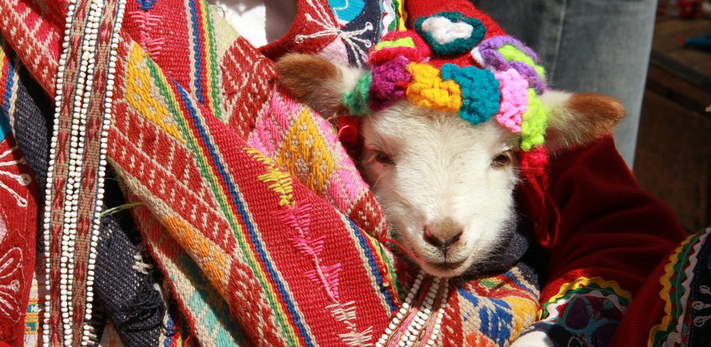 18 Day Complete Peru Small Group Tour