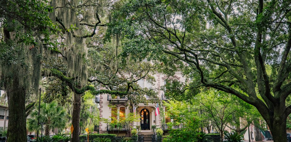 14 Day Historic Deep South USA