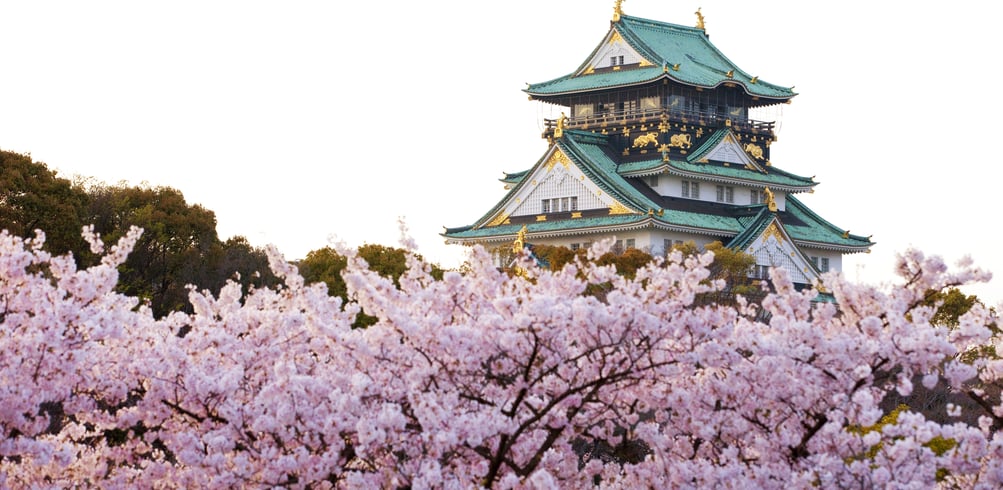 18 Day Inspiring Japan