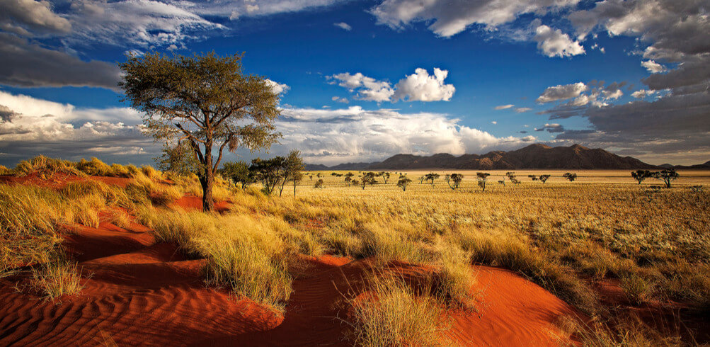 13 Day Best of Namibia