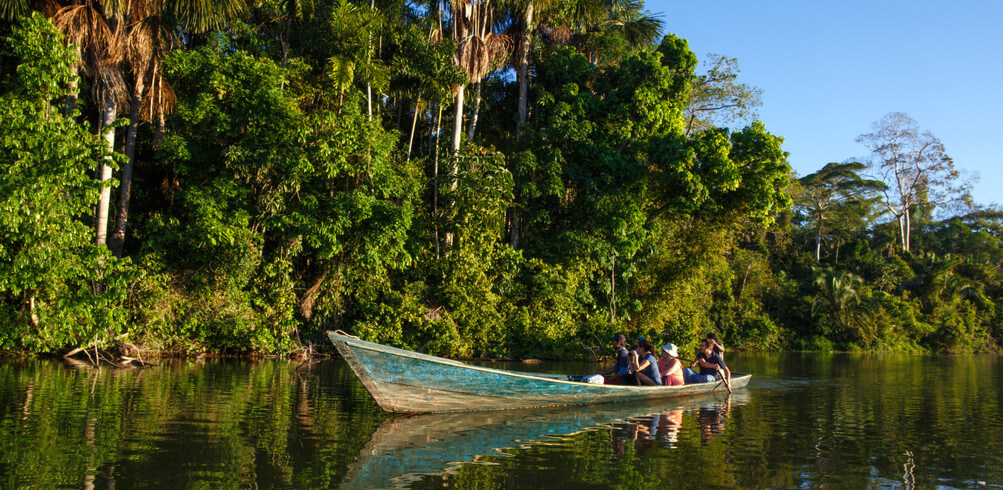 Snapshot: Amazon Rainforest