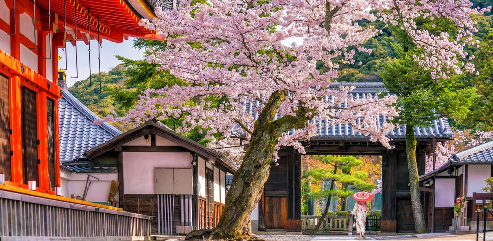 Best Japan Tours & Holidays | Group & Guided Tours Japan