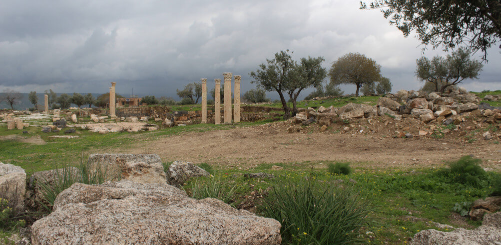 Get Back to Nature in Jordan