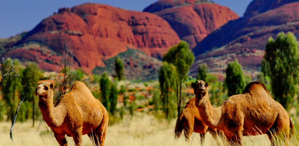 15 Day Outback Adventure