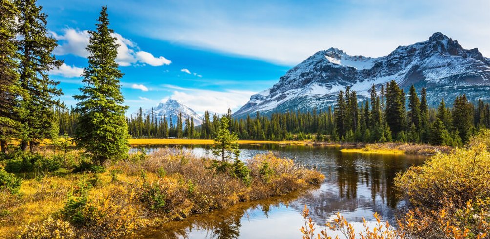 20 Day Highlights of Canadian Rockies With Alaska Cruise & Denali Discovery