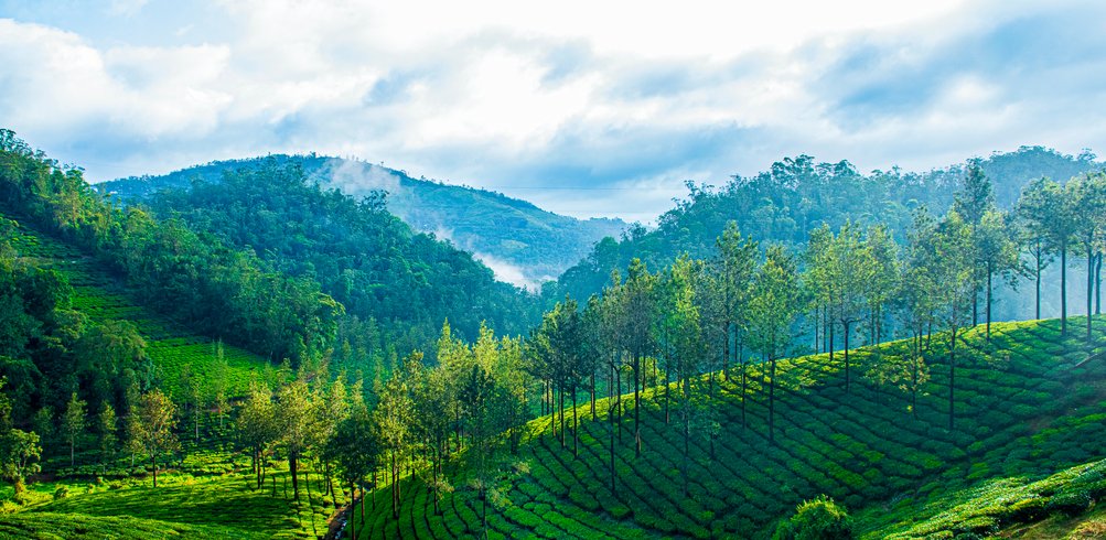 23 Day The Grand India Premium Small Group Tour