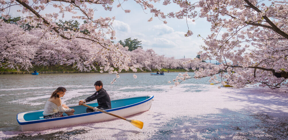 Hanami in Japan: Cherry Blossom Viewing Guide | Inspiring Vacations