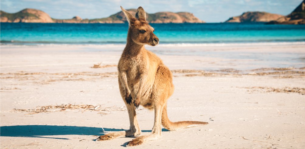 Best Australia Tours & Holidays | Group & Guided Tours Australia